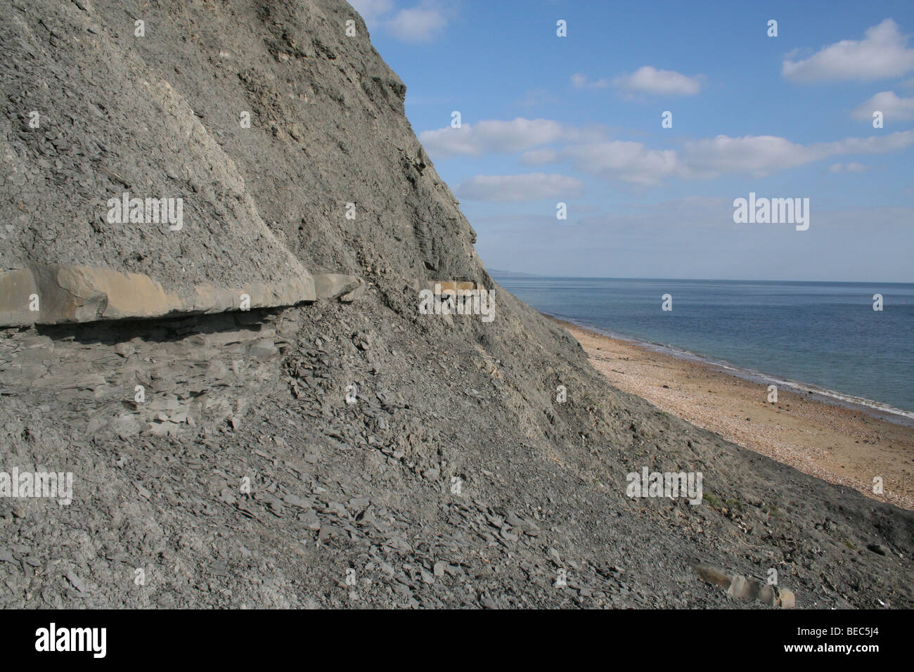 Charmouth Cliffs on a hot sunny day Stock Photo - Alamy