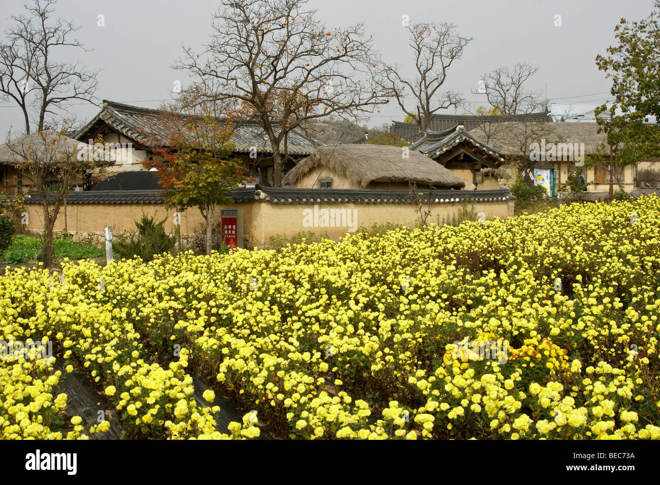 Traditional architecture, Hahoe Folk Village, South Korea Stock Photo ...