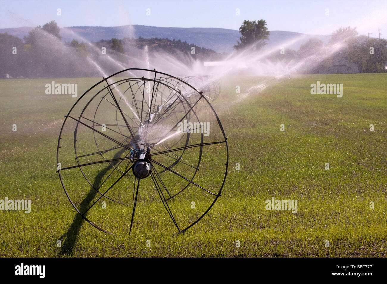 Watering the fields hi-res stock photography and images - Alamy