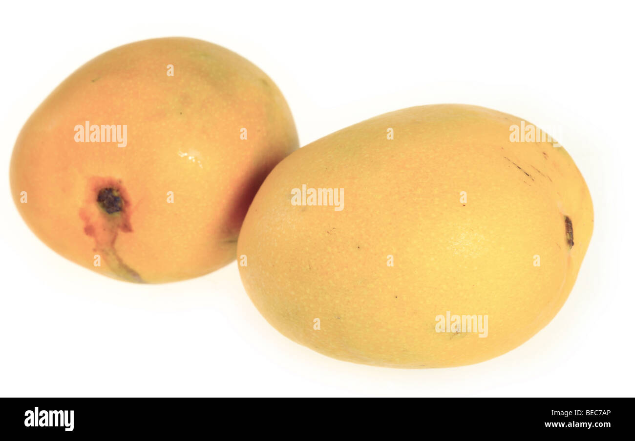 Indian mango hi-res stock photography and images - Alamy