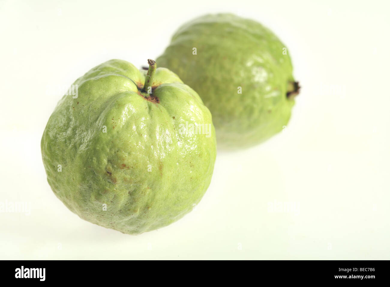 Two quava fruits over a white background, fruit of the shrub Psidium ...