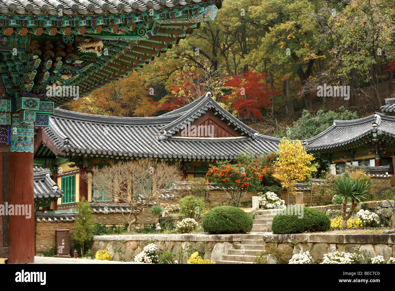 Seonamsa Buddhist temple, Suncheon, South Korea Stock Photo - Alamy