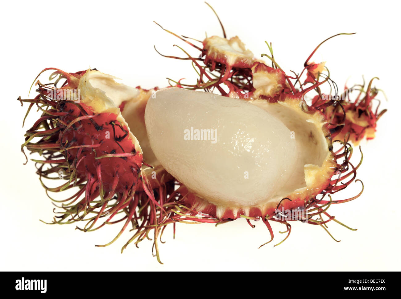 A rambutan with the shell peeled off to reveal the fruit inside ...