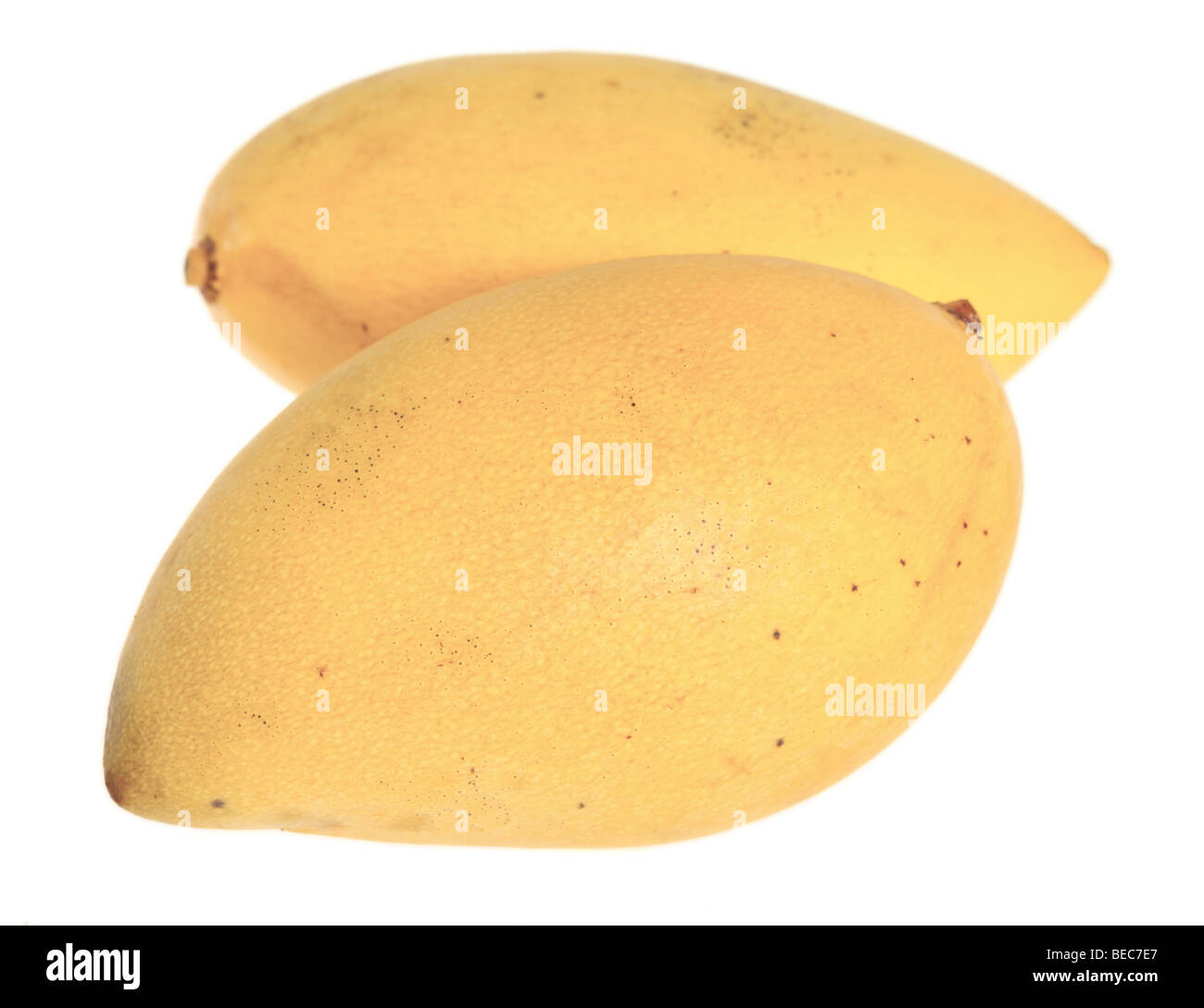Two ripe mangoes from Thailand over a white background Stock Photo - Alamy