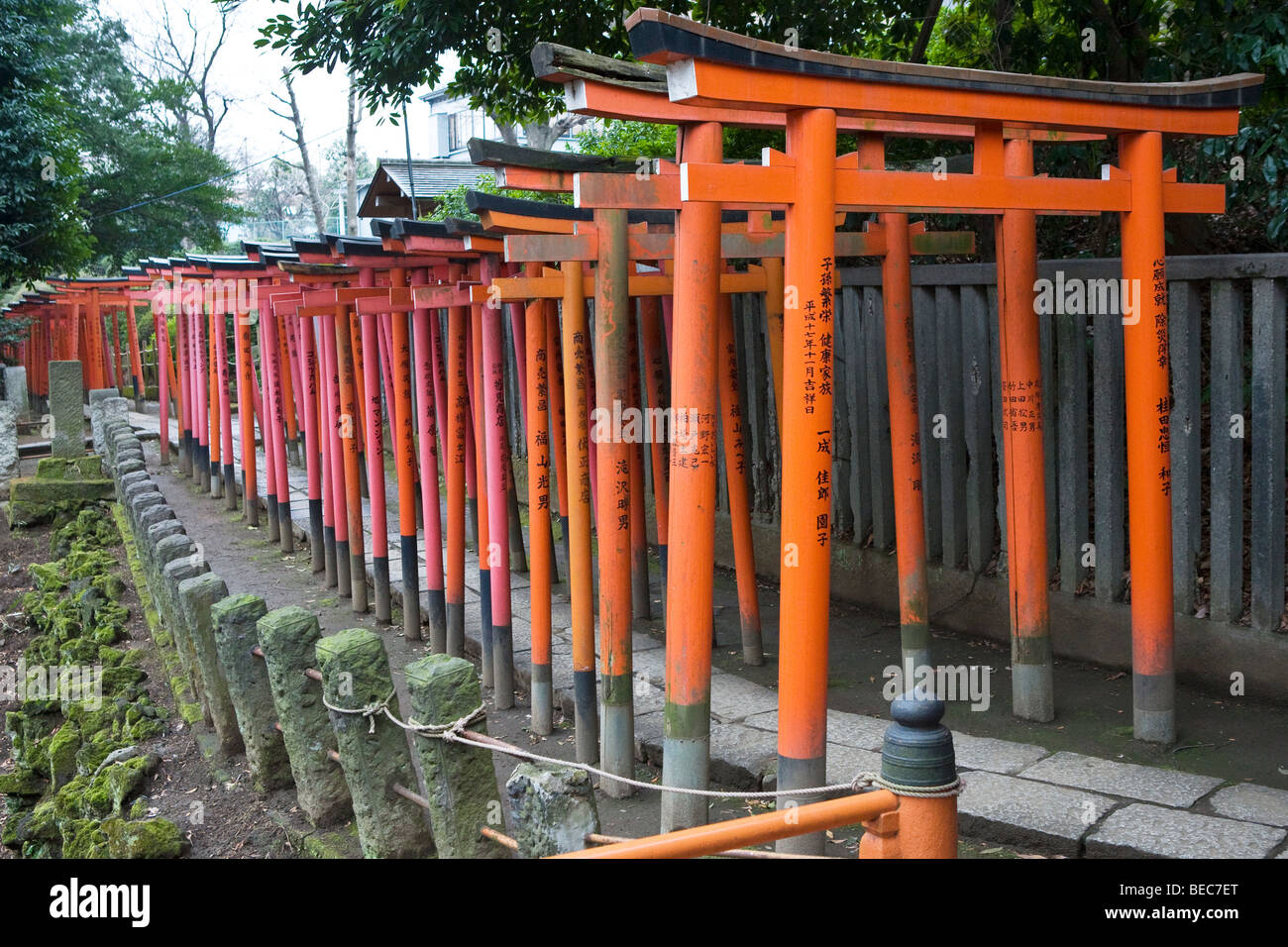 Row of Torii gates at a temple complex in Tokyo, japan Stock Photo - Alamy