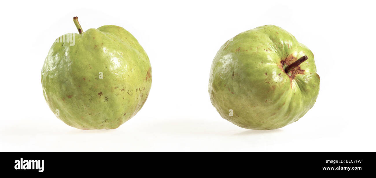 Two guavas over white with a light shadow. Guavas are noted for their ...