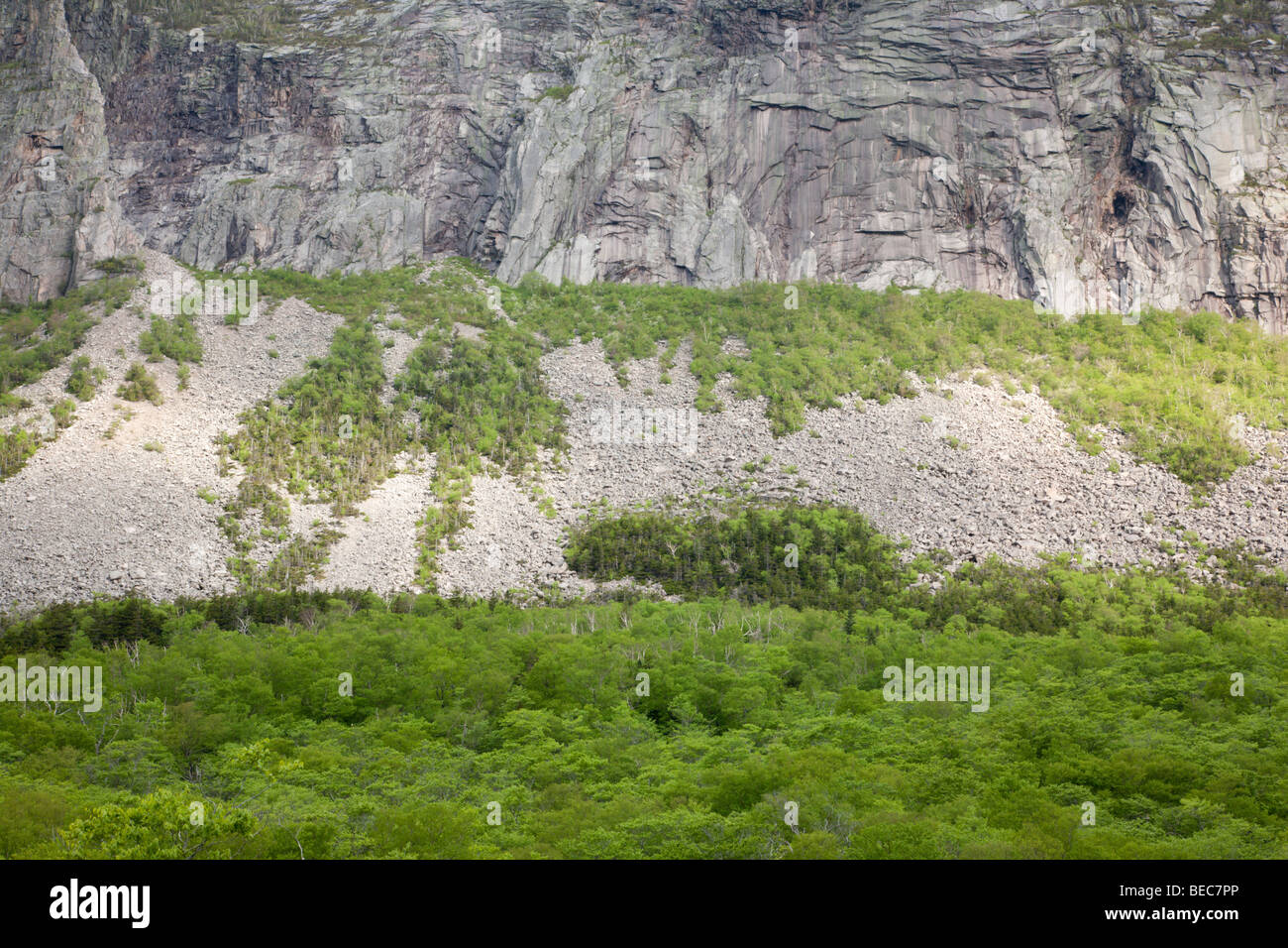 Franconia Notch State Park.The base of Cannon Mountain cliff during the ...
