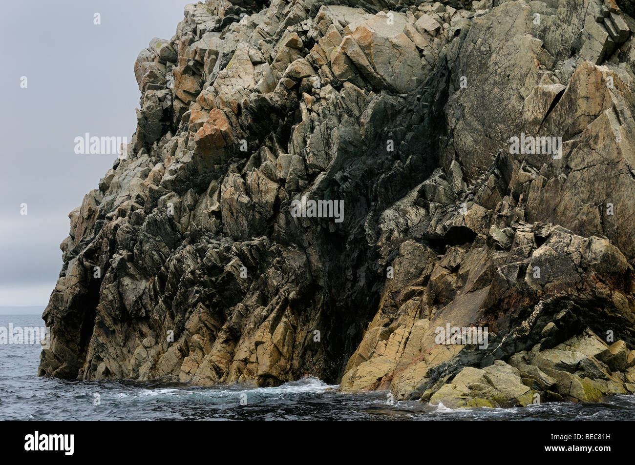 Jagged ancient rocks cliff face on the Atlantic coast of Twillingate ...