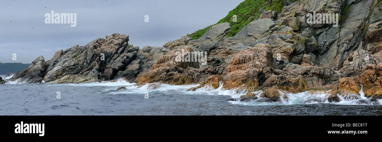 Panorama of seabirds and surf on the rocky Atlantic Ocean coast of ...