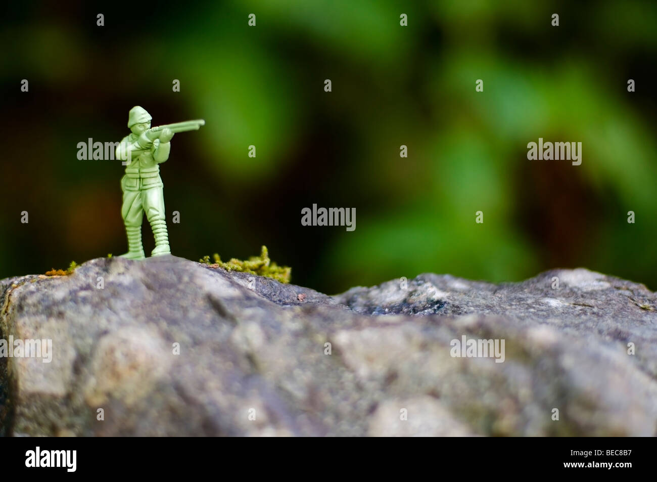 A green plastic toy soldier takes aim with his rifle in the rugged ...