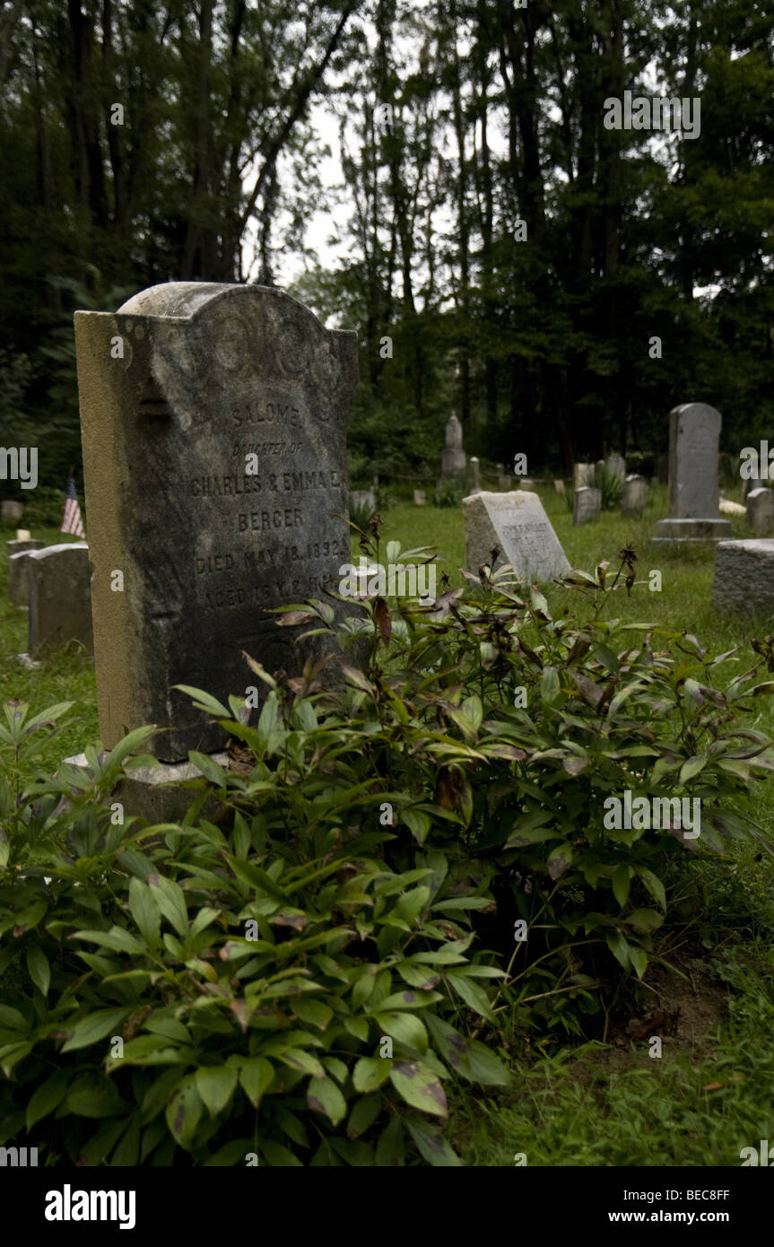 Montgomery cemetery hi-res stock photography and images - Alamy