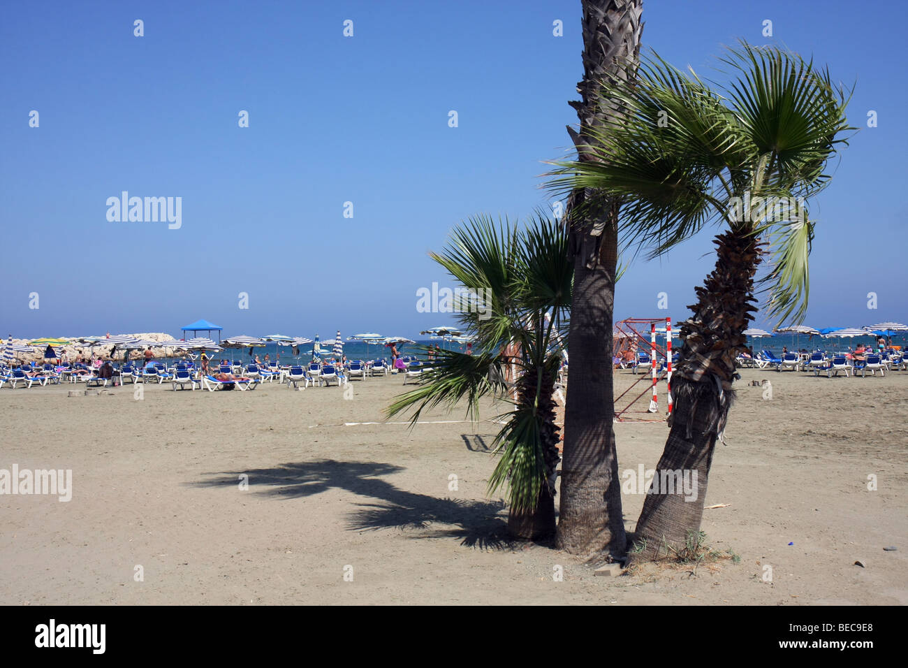 Palm trees on the beach in Larnaca, Cyprus Stock Photo - Alamy