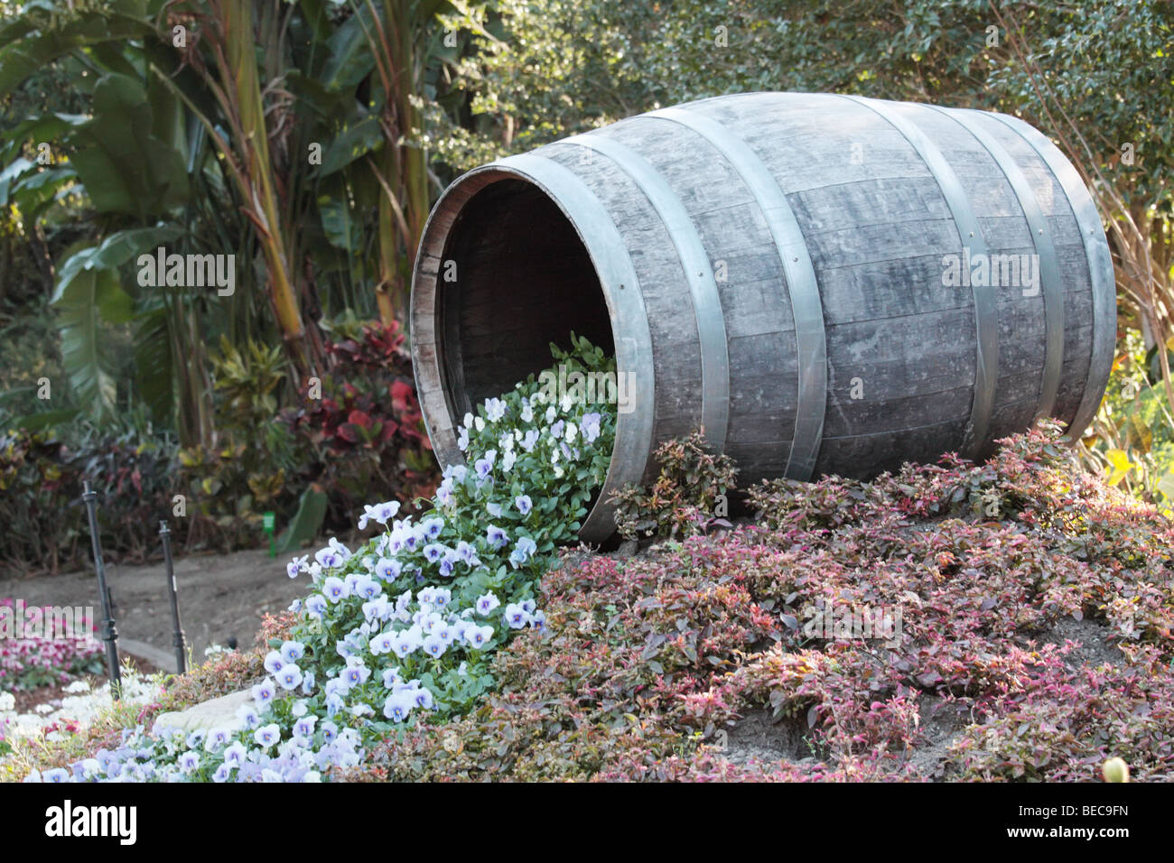 Beer Drum in the Garden Stock Photo - Alamy