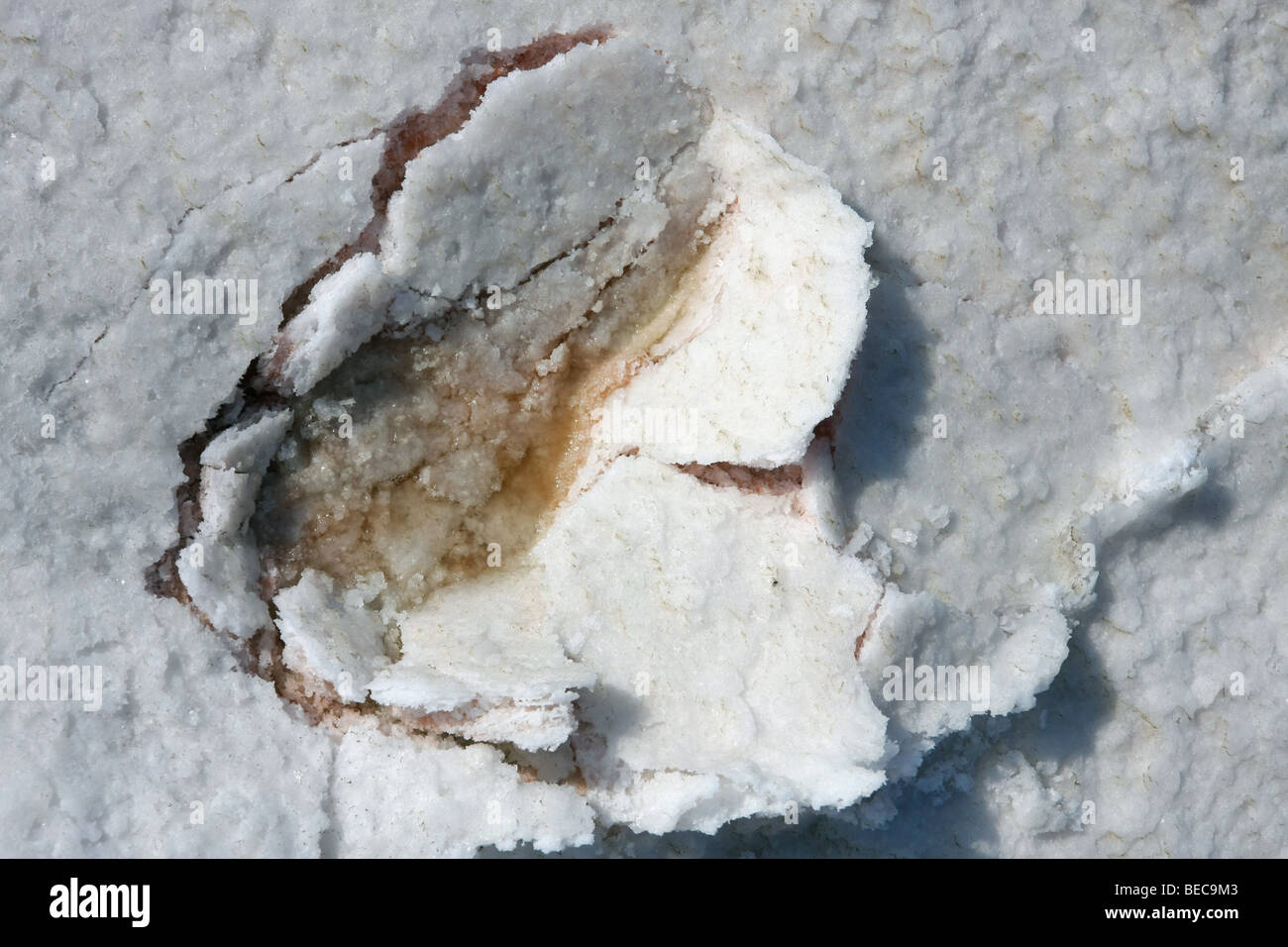 Shoeprint and cracked salt surface on the salt lake outside Larnaka ...