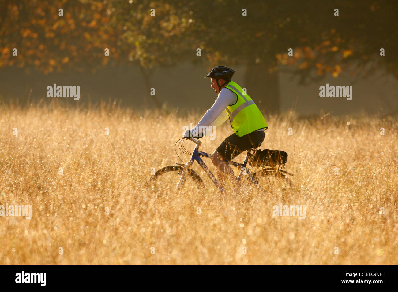 person riding bike in Richmond park early morning Stock Photo - Alamy