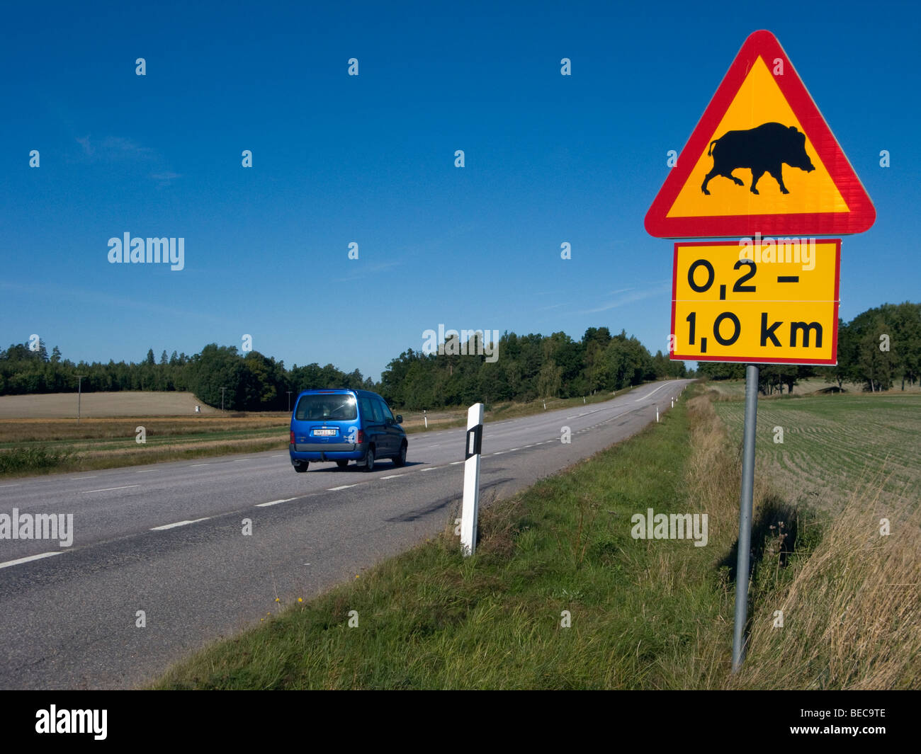 Wild boar road sign hi-res stock photography and images - Alamy