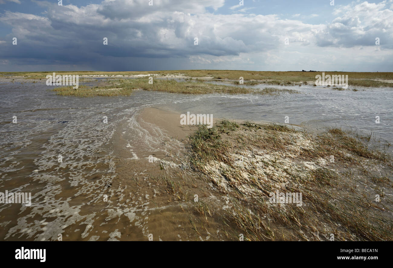 Flood flooding island hi-res stock photography and images - Alamy