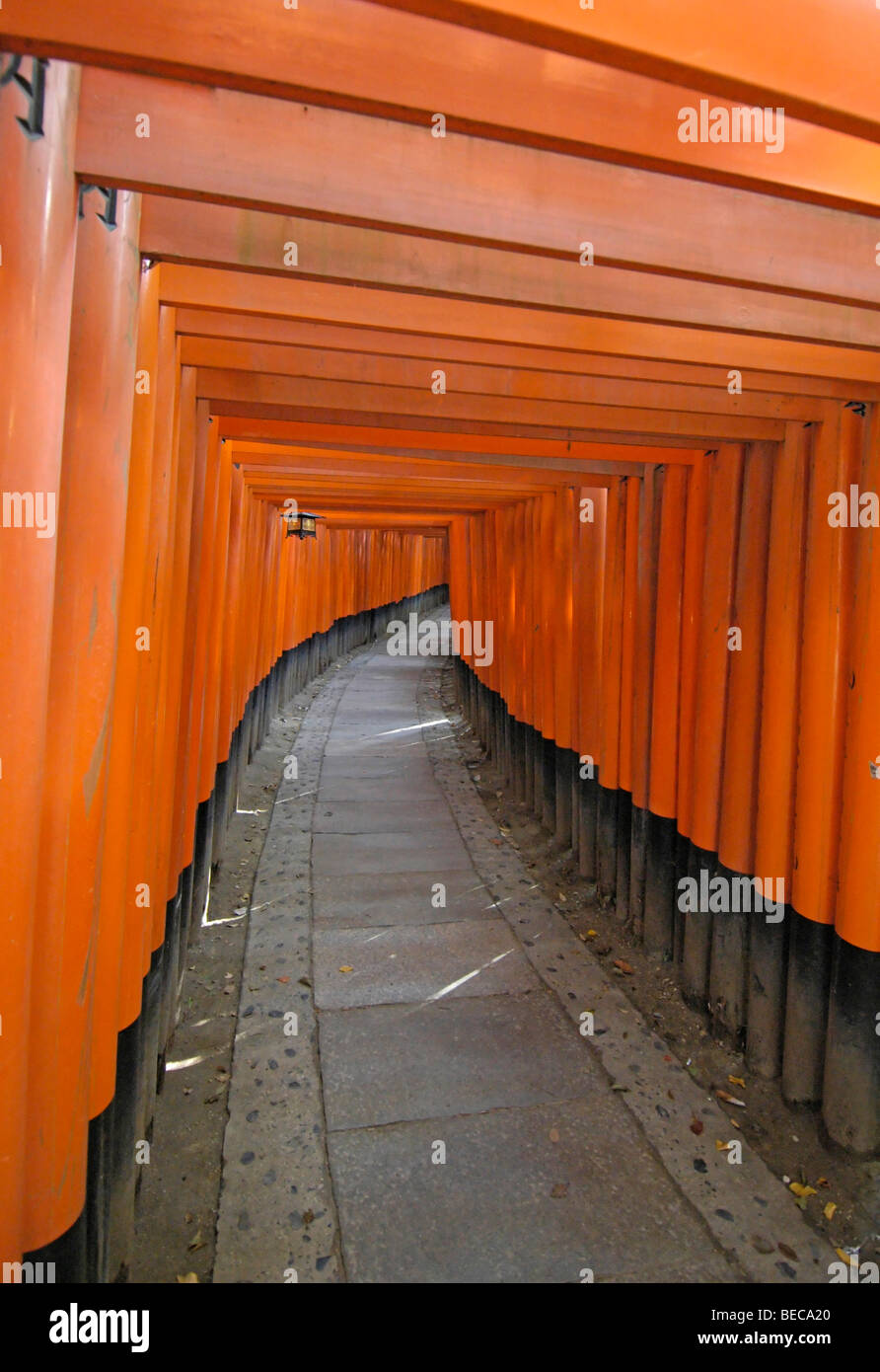Vermilion (orange/red) torii (gate) tunnel at Fushimi Inari Taisha ...