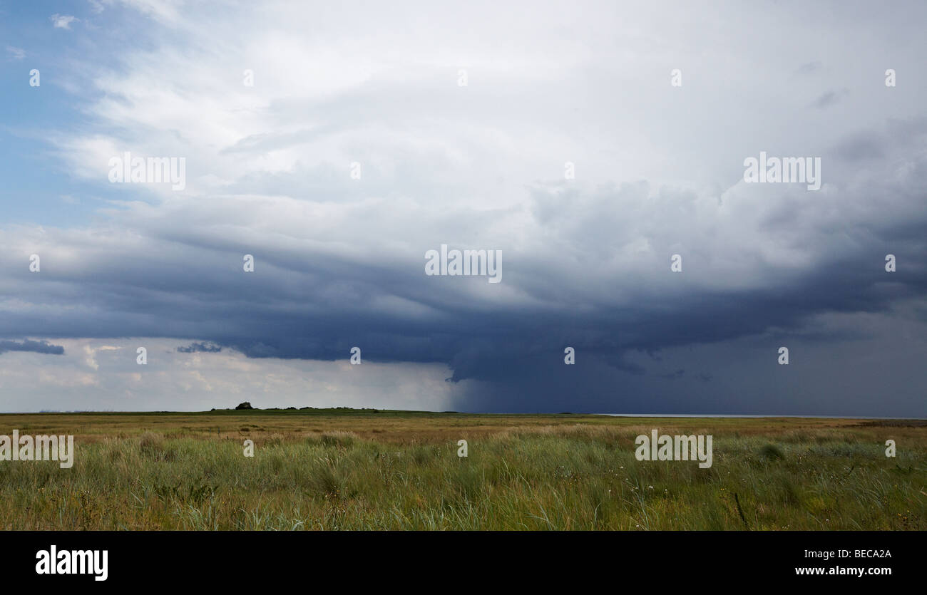 Bad weather clouds, stormy atmosphere over a salt marsh, Mellum Island ...
