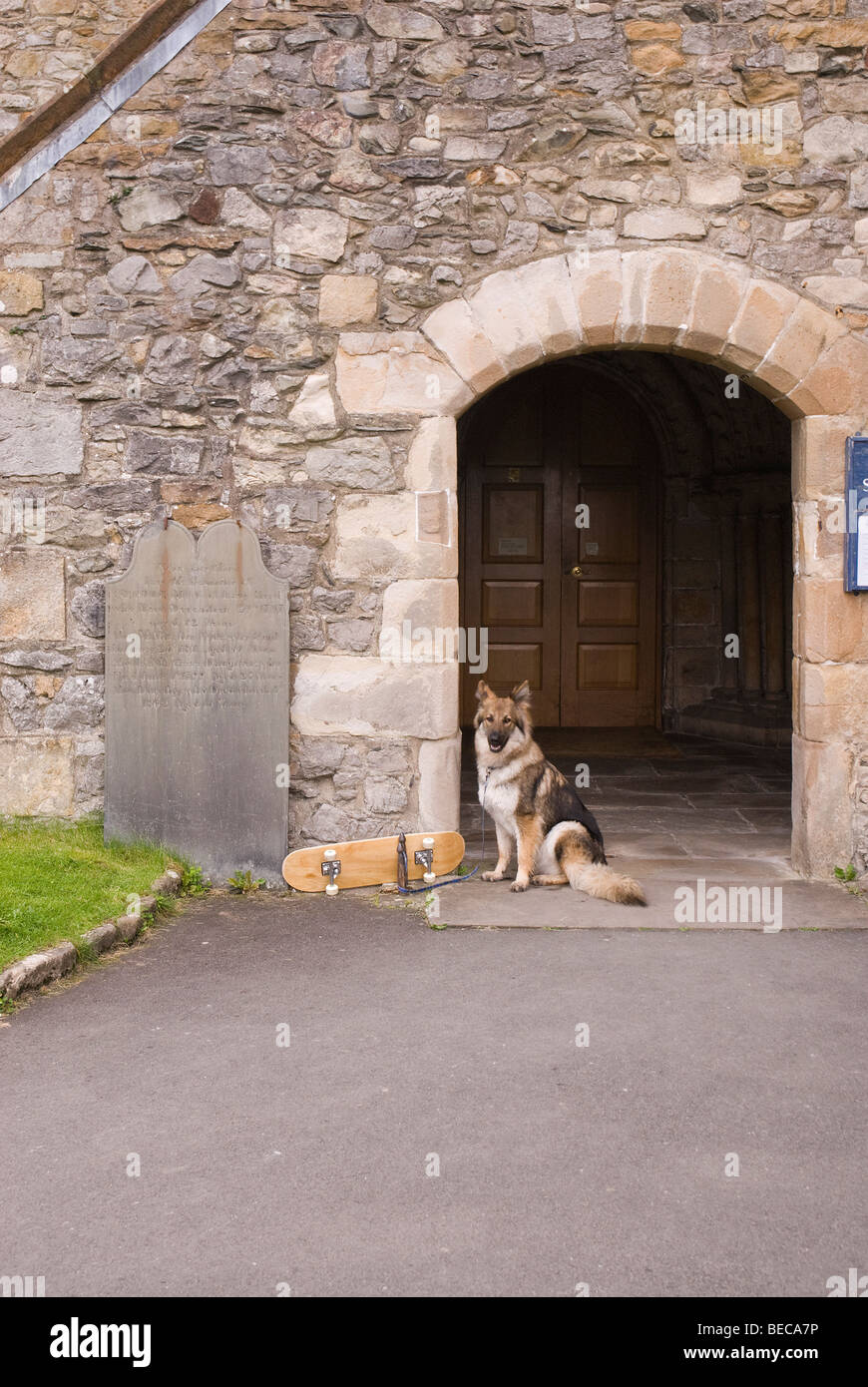Dog gravestone hi-res stock photography and images - Alamy