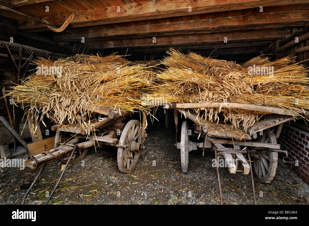 Corn on a cart, Glentleiten farming museum, Bavaria, Germany, Europe ...