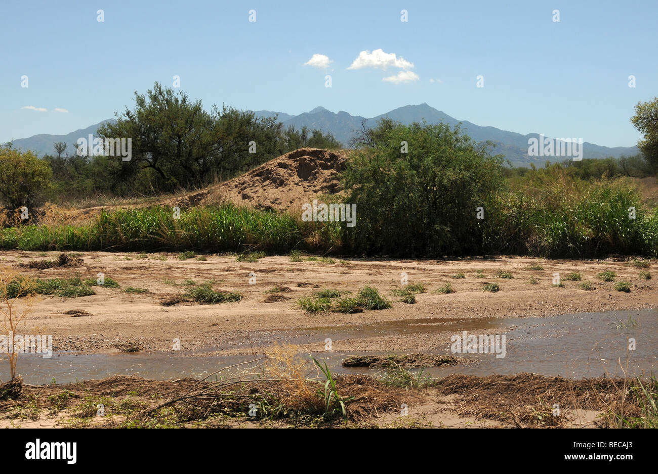 The Santa Cruz River flows with reclaimed water near Green Valley ...
