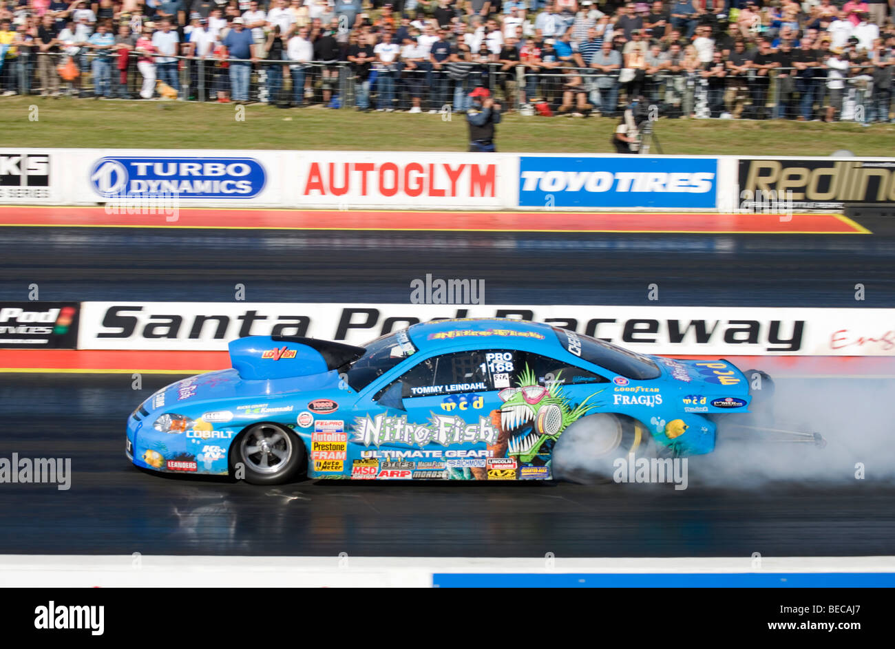 FIA Pro Stock dragster driven by Tommy Leindahl at the FIA European ...