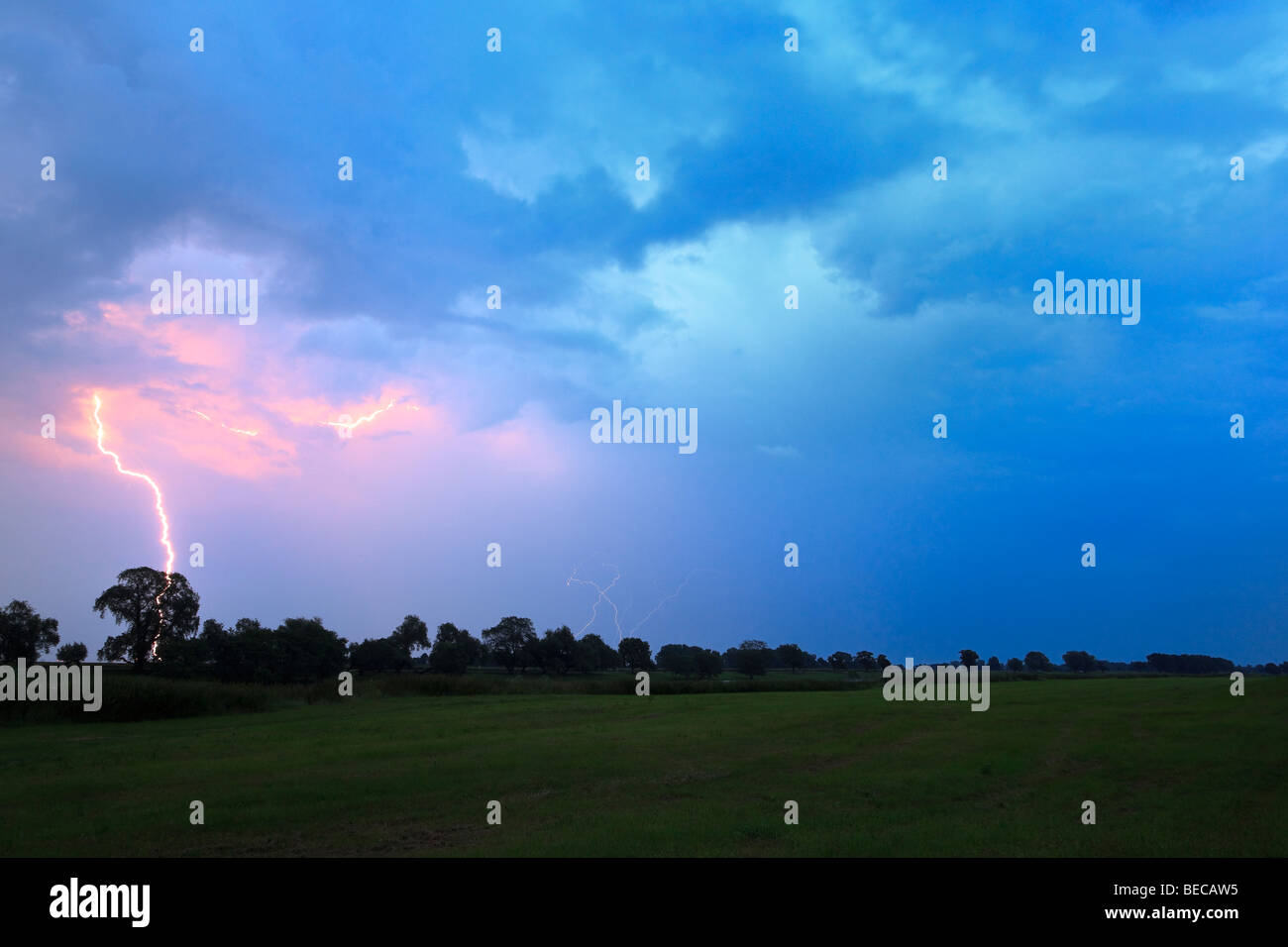 Lightning strike tree hi-res stock photography and images - Alamy