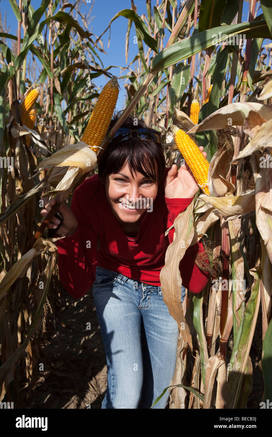 Looks at maize plants hi-res stock photography and images - Alamy