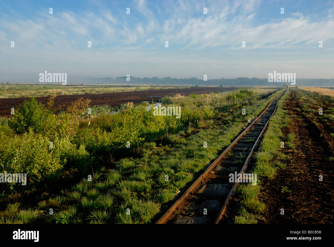 Loren dam in the Moor, a former peat cultivation region, Breitenburger ...