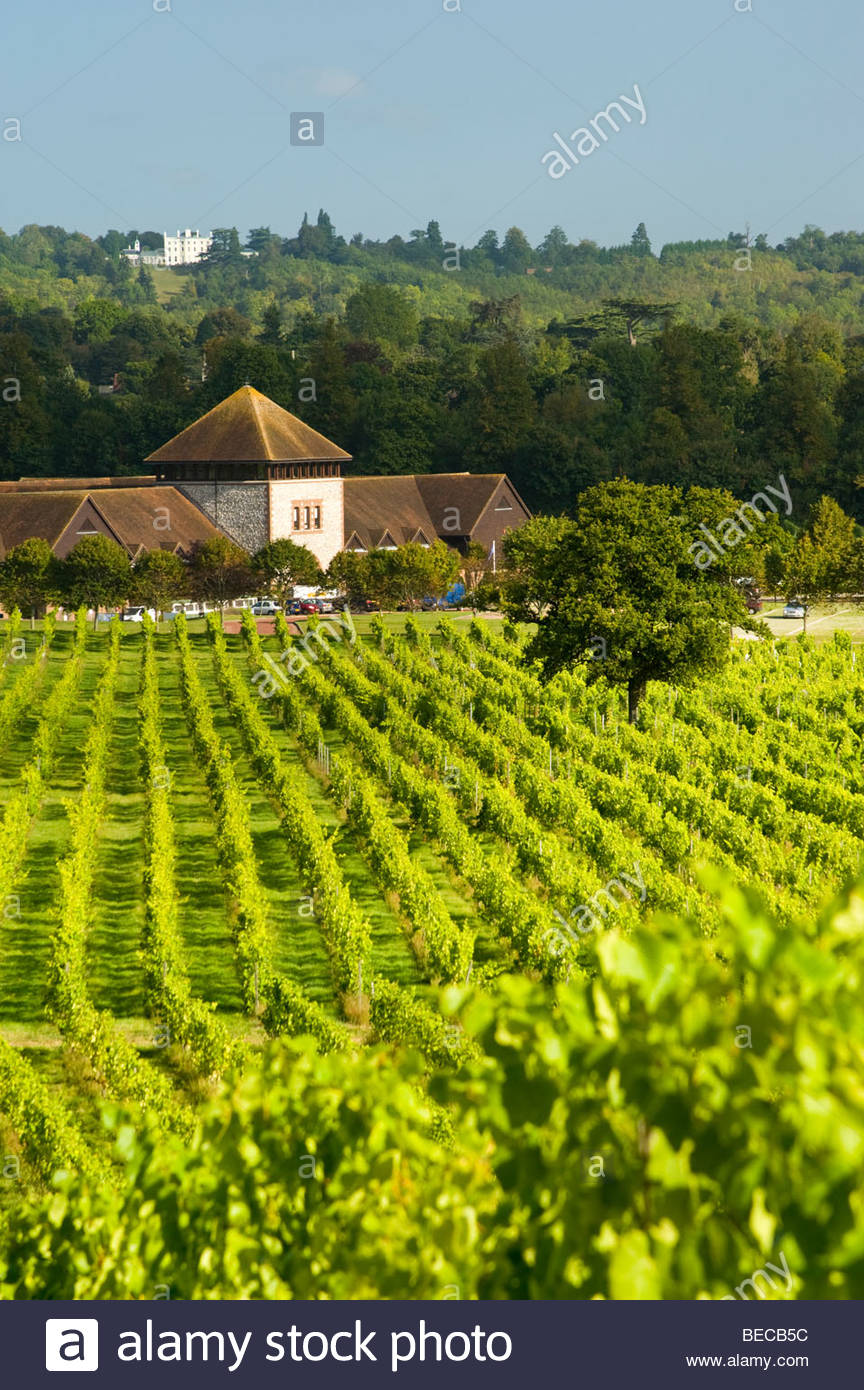 Denbies Wine Estate Stock Photos & Denbies Wine Estate Stock Images - Alamy