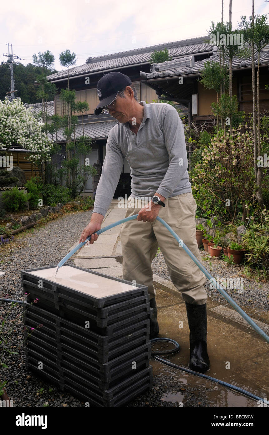 Water pouring on rice paddy hi-res stock photography and images - Alamy