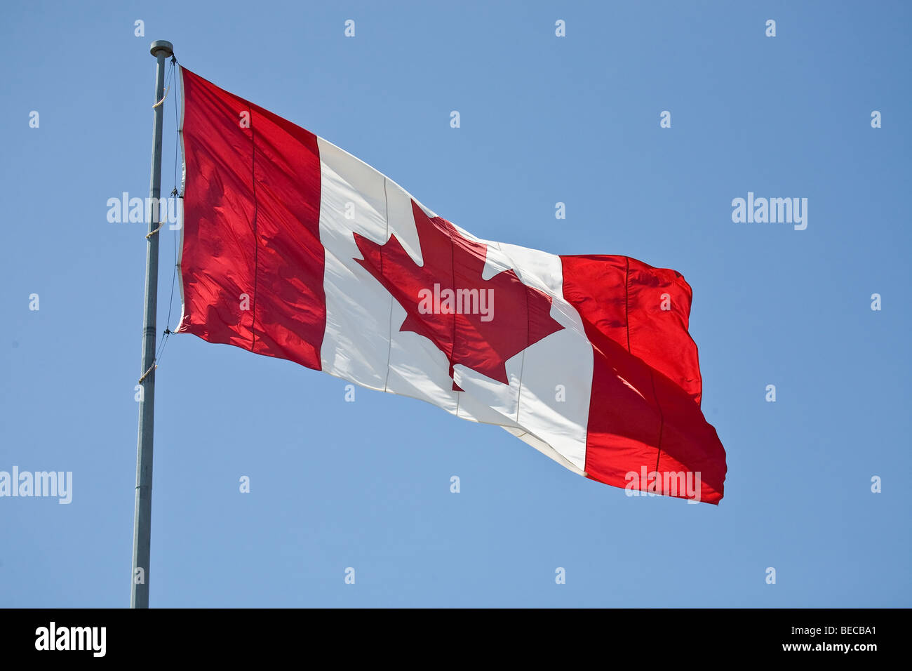 A large Canadian Flag in the wind against a blue sky Stock Photo - Alamy