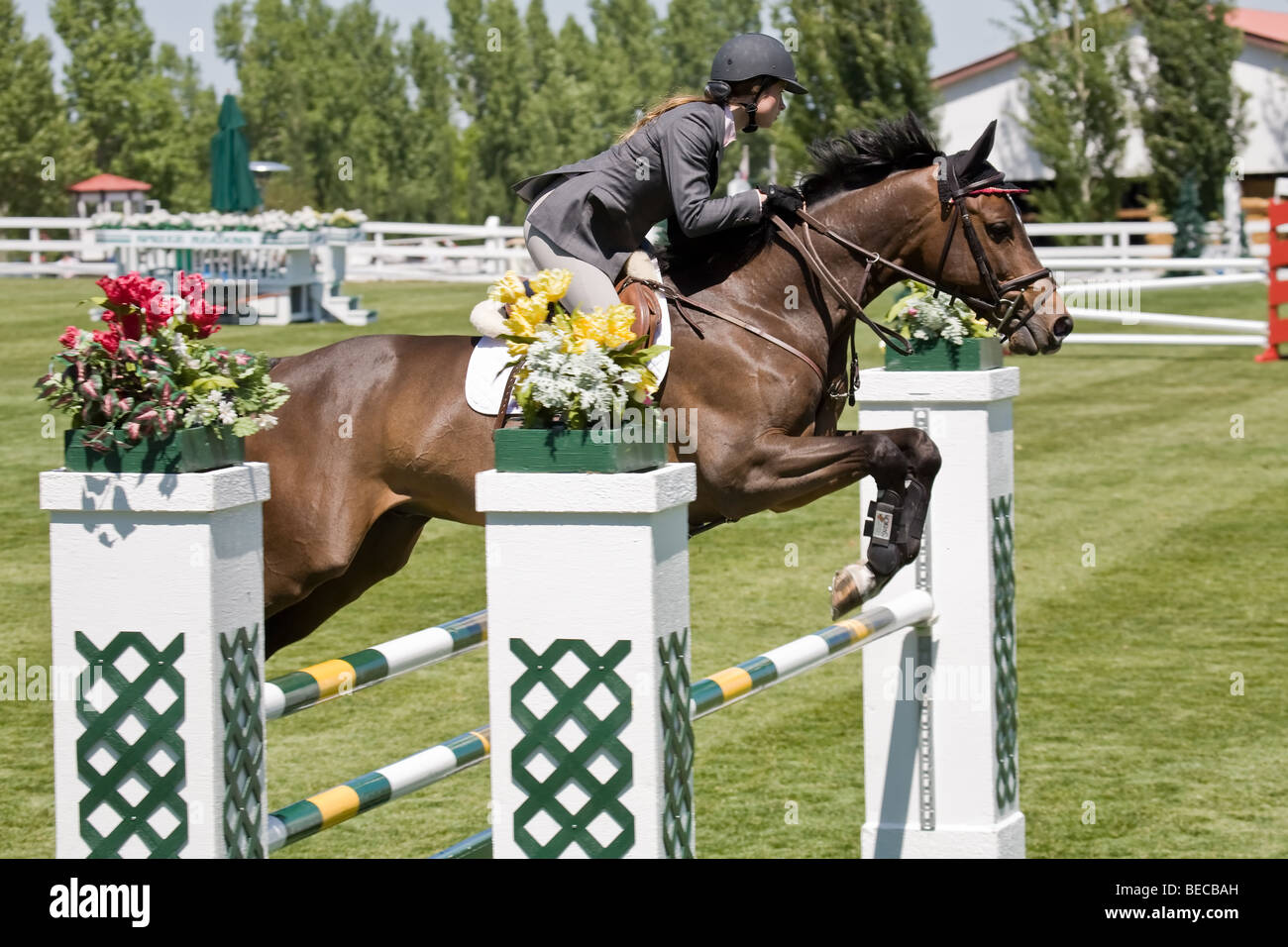 Spruce meadows show jumping hi-res stock photography and images - Alamy