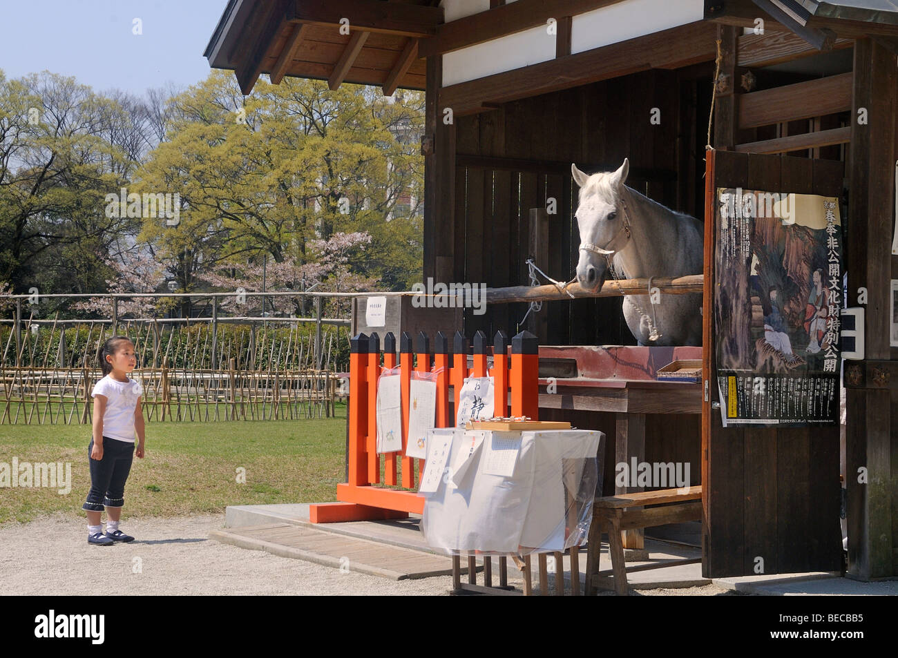 Japanese shintoism matsuri festival hi-res stock photography and images ...