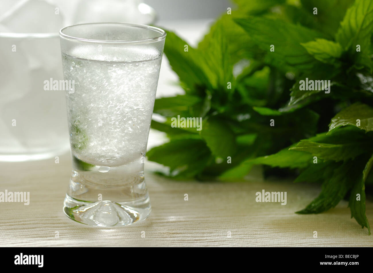 Chilled mastika alkohol with aniseed flavour (tastes like greek ouzo ...