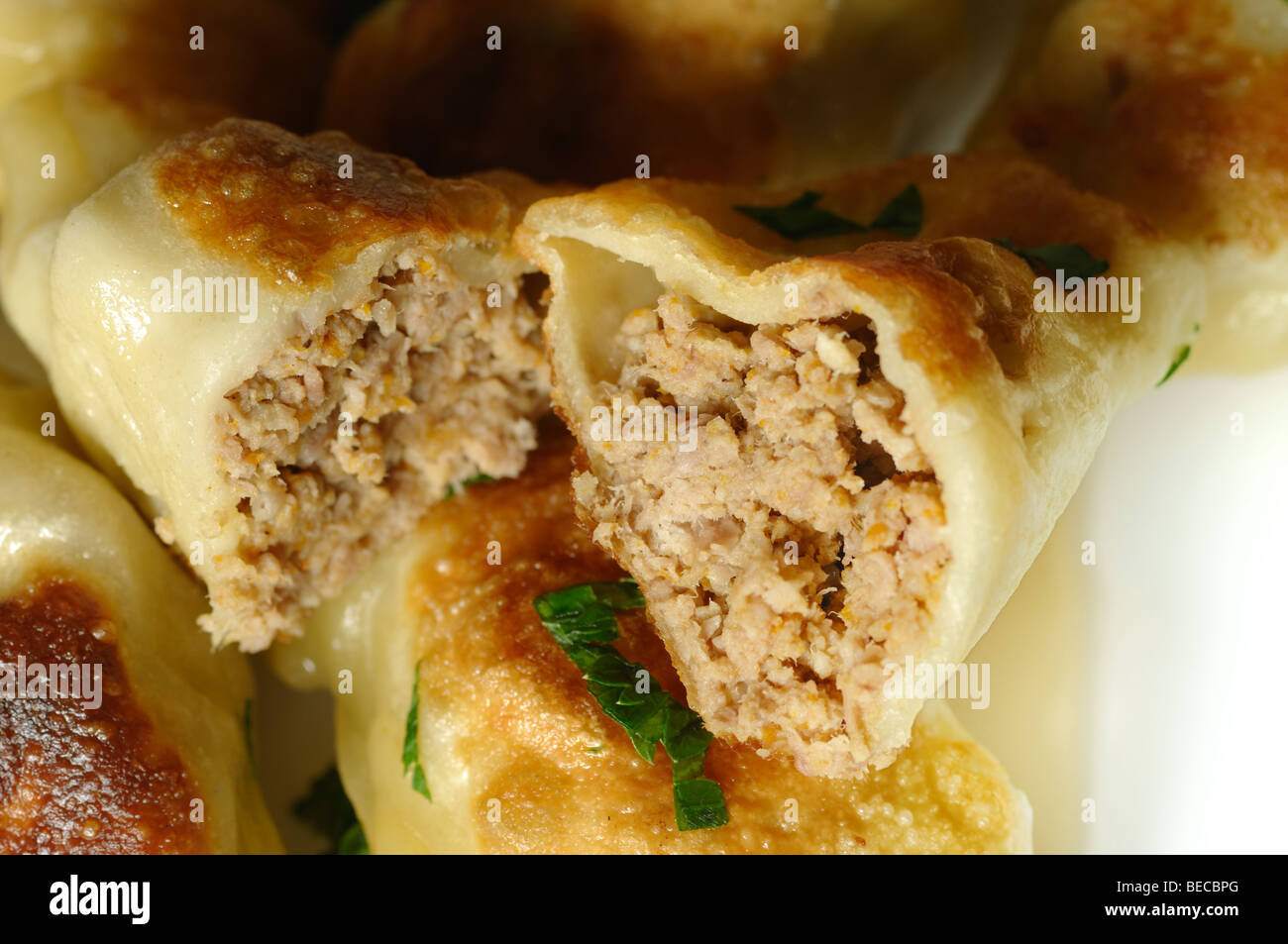Traditional polish dumplings stuffed with meat filling Stock Photo - Alamy