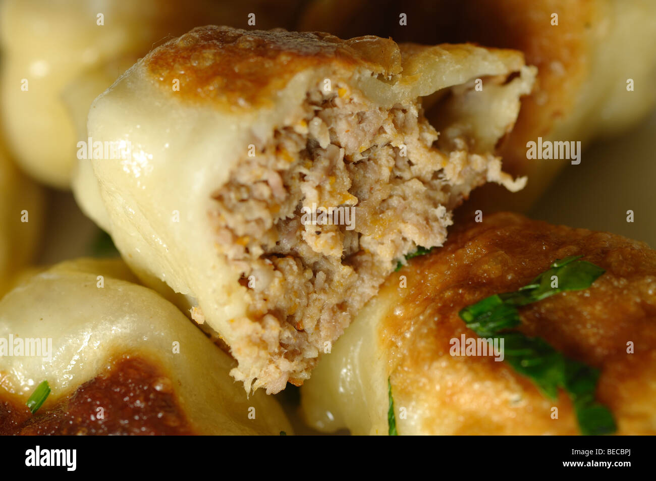 Traditional polish dumplings stuffed with meat filling Stock Photo - Alamy