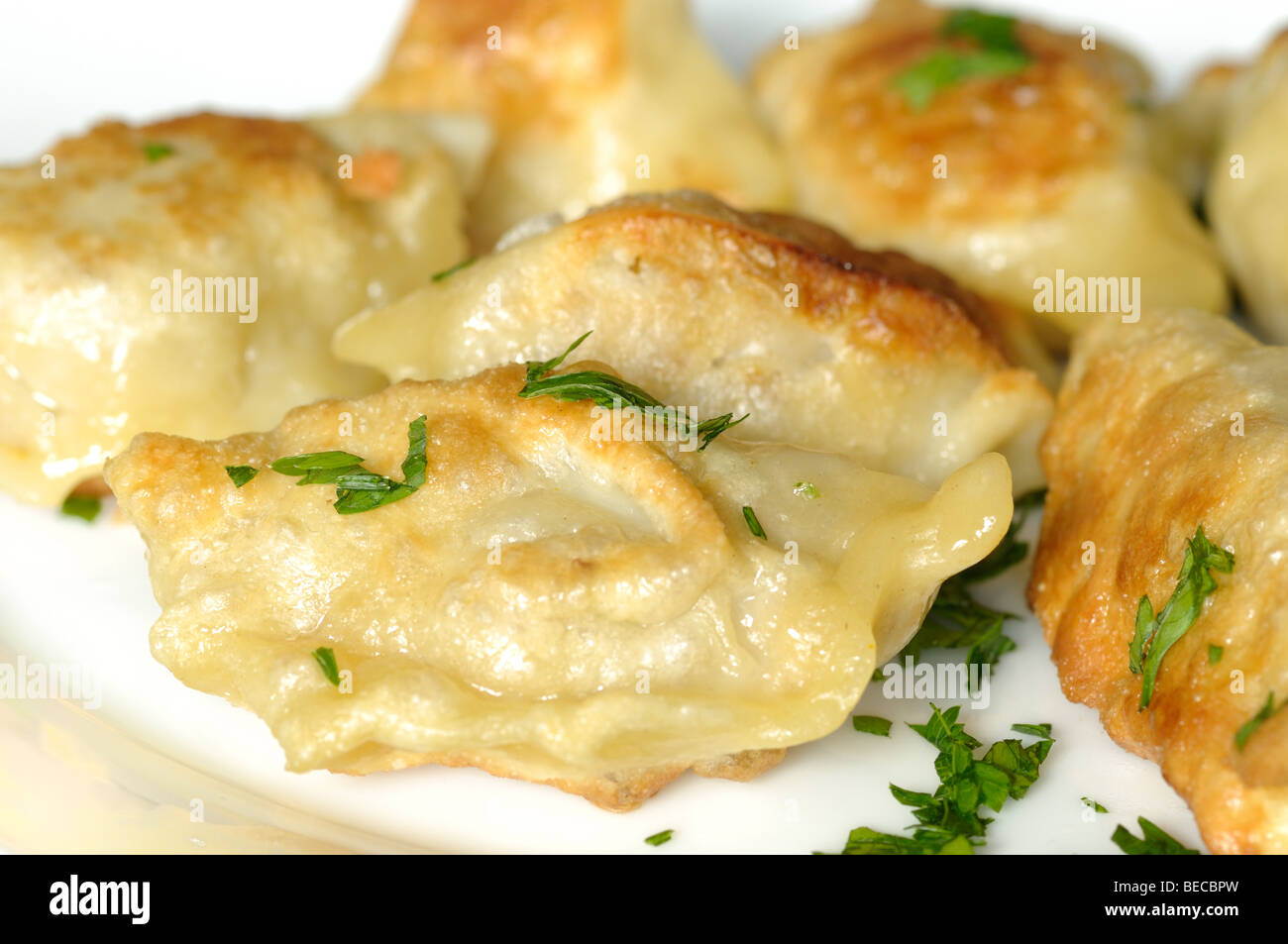 Traditional polish dumplings stuffed with cheese Stock Photo - Alamy