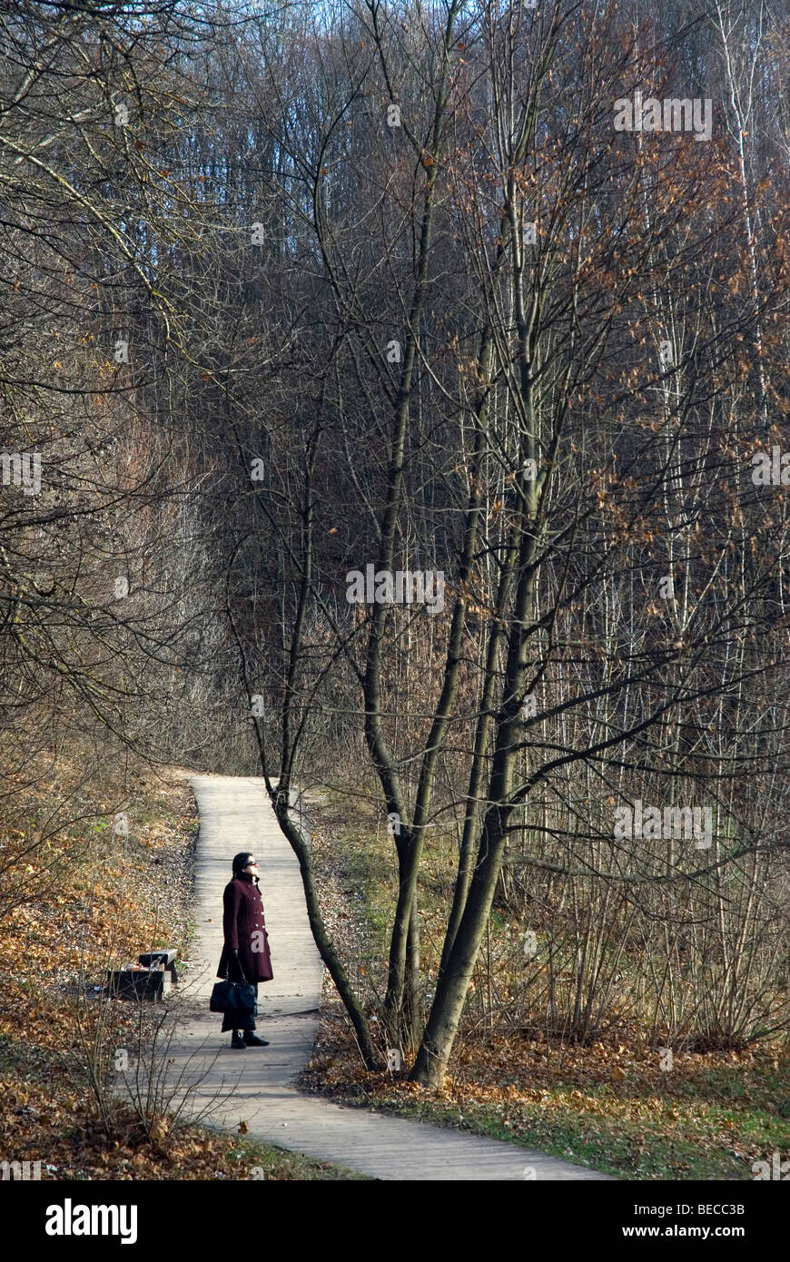 Vingio Park, Vilnius, Lithuania Stock Photo - Alamy
