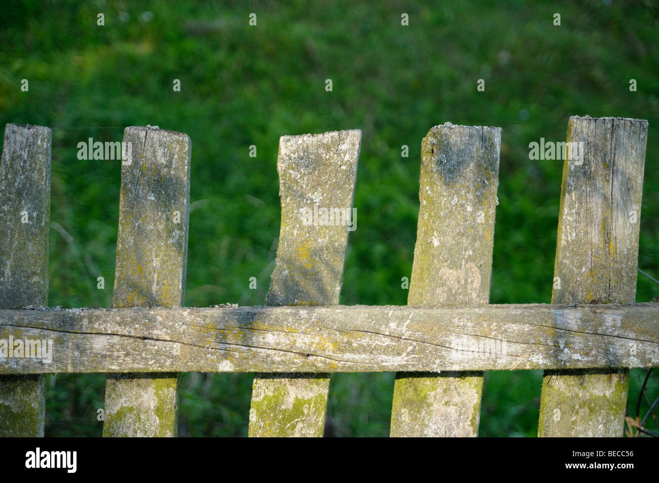 Old wooden fence on a green background Stock Photo - Alamy