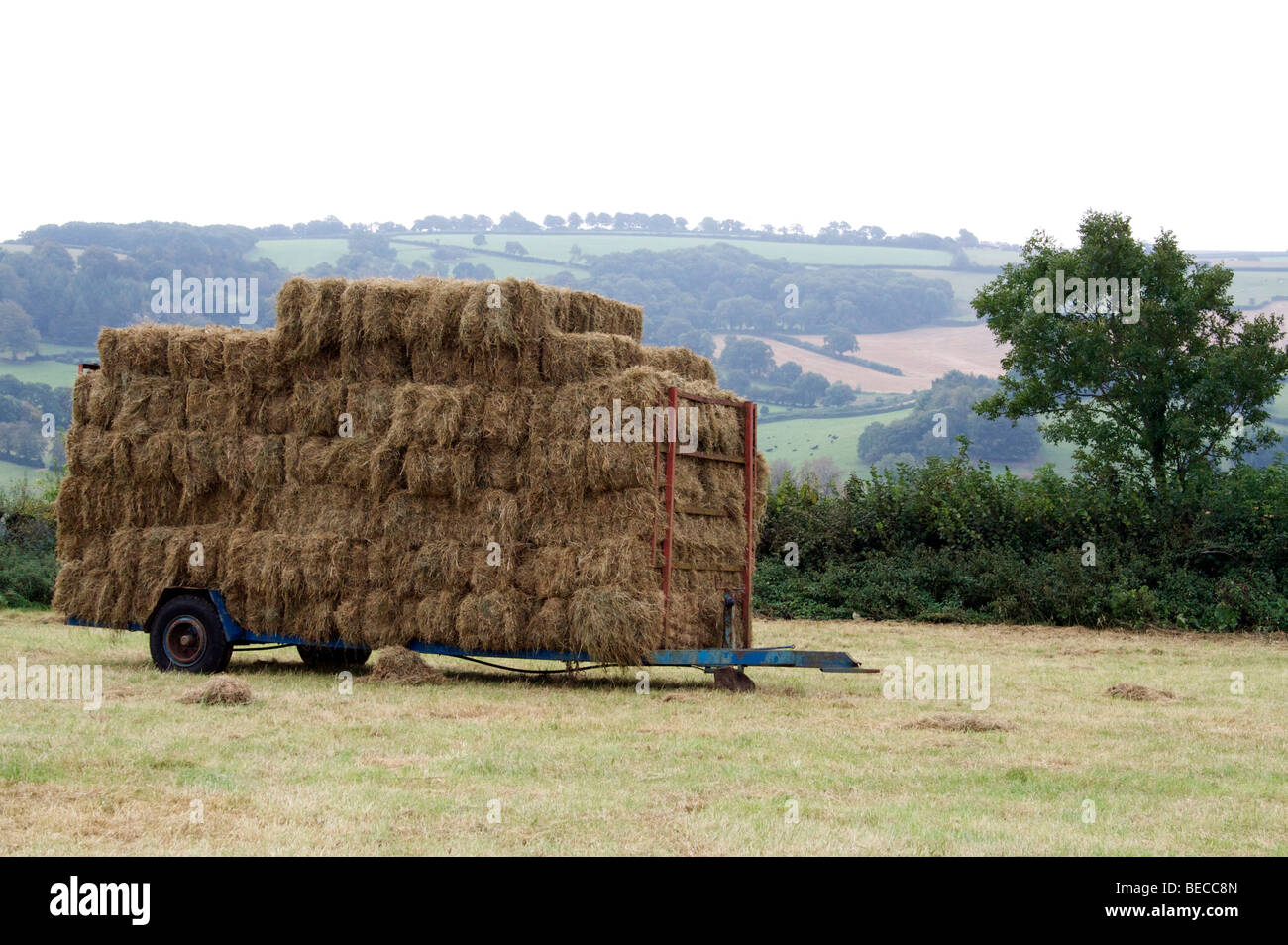 Large haystack on a trailer in a field Stock Photo - Alamy