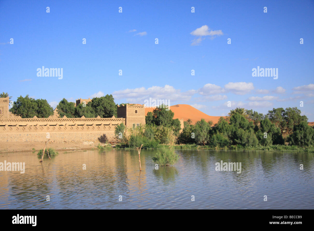 Flood in the desert hi-res stock photography and images - Alamy