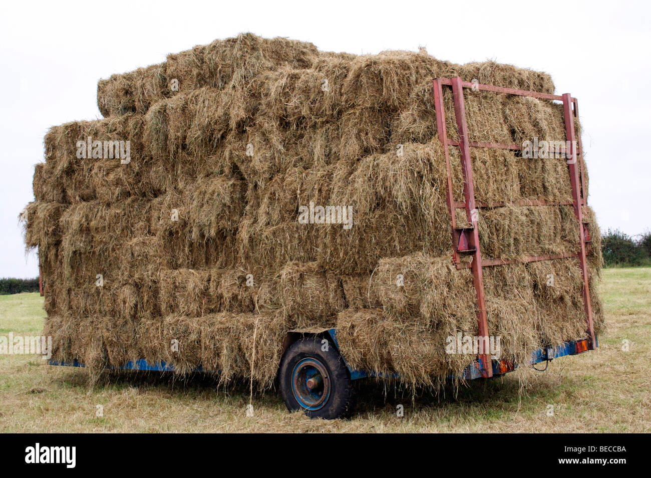 Large haystack on a trailer in a field Stock Photo - Alamy