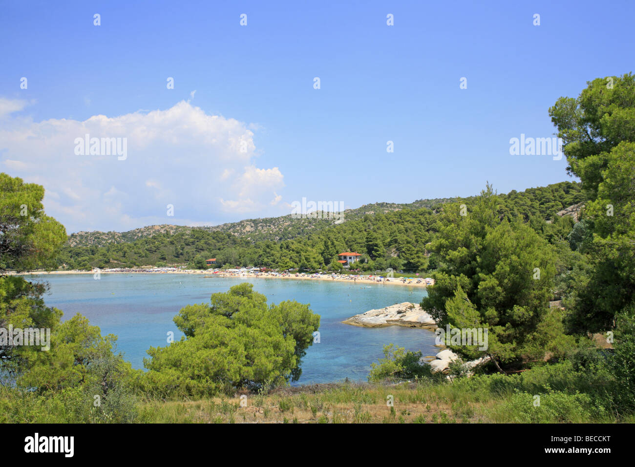 Kalogrias beach hi-res stock photography and images - Alamy