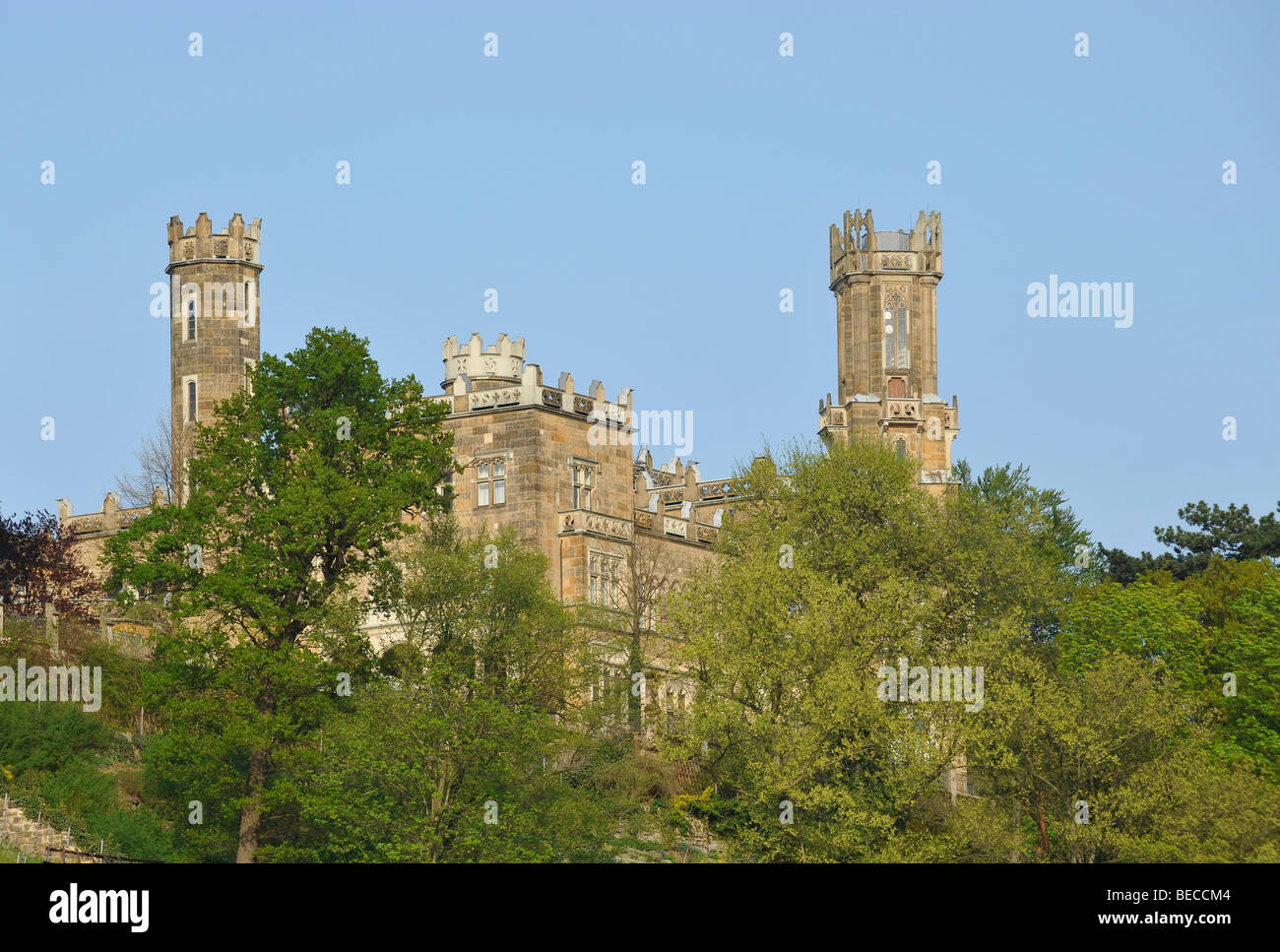 View from the Elbe river on Schloss Eckberg castle, Dresden, Saxony ...