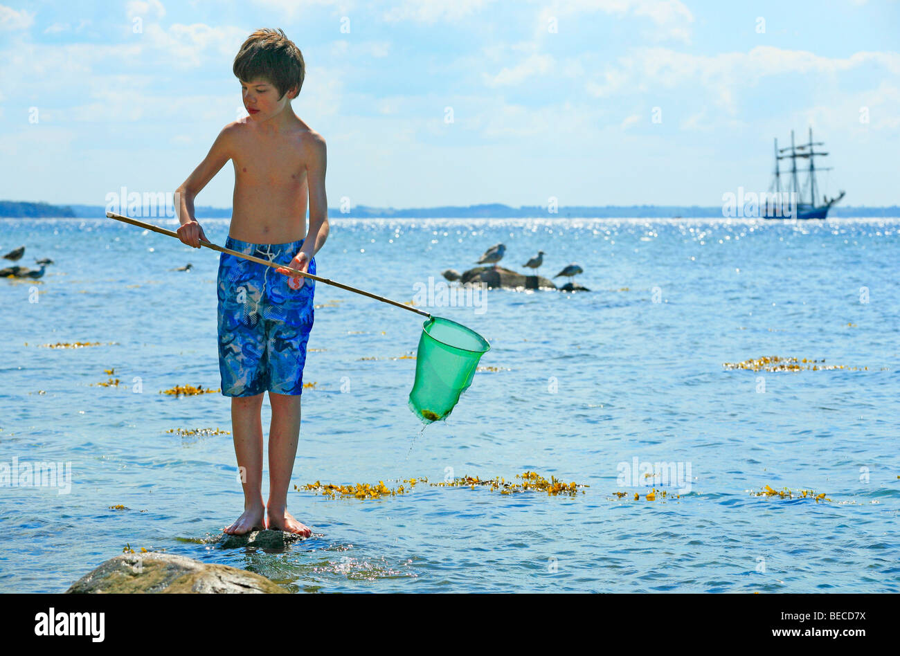 Sk350 291 hi-res stock photography and images - Alamy