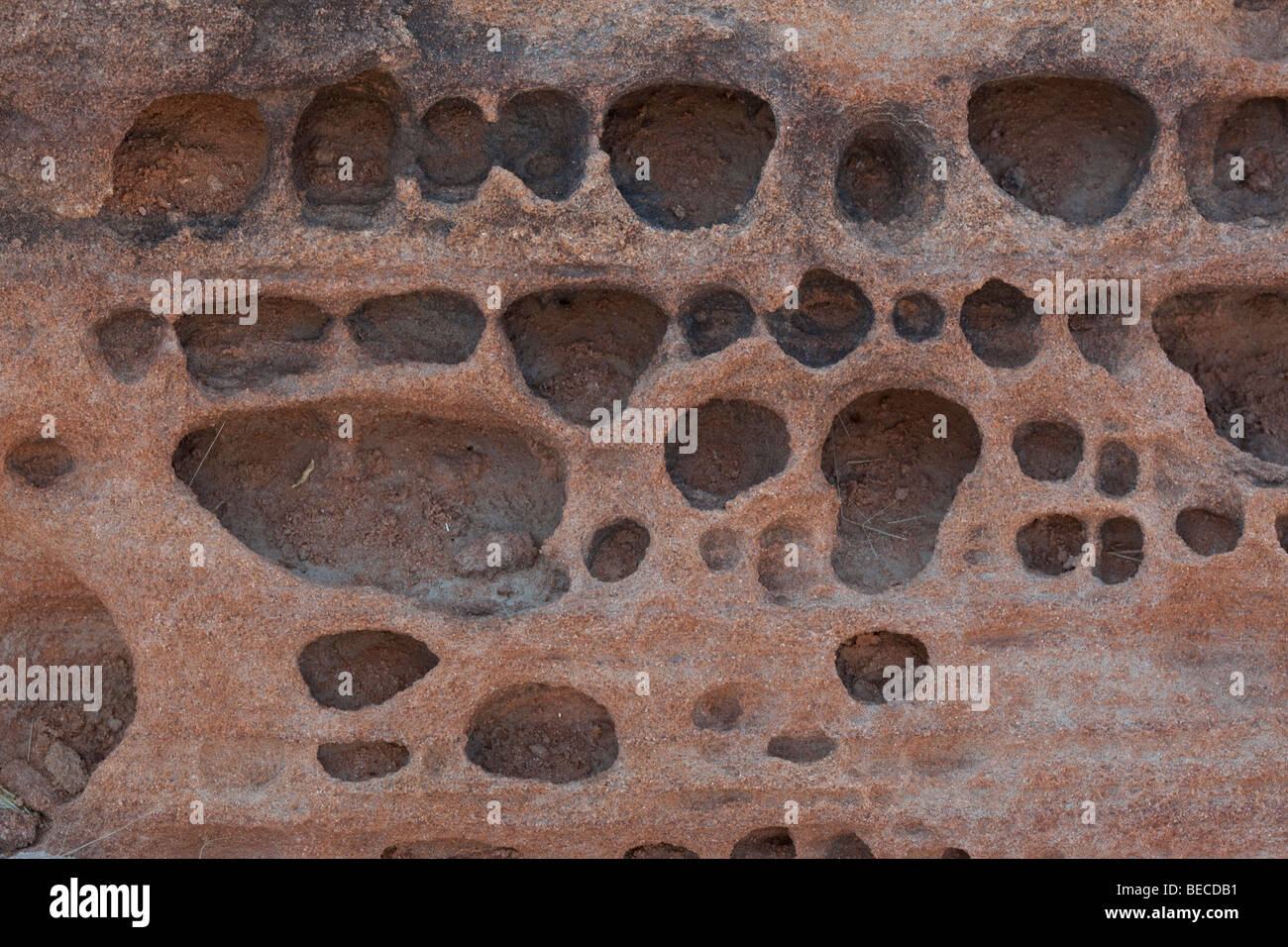 Weathered rock, Twyfelfontein, Damaraland, Namibia Stock Photo - Alamy