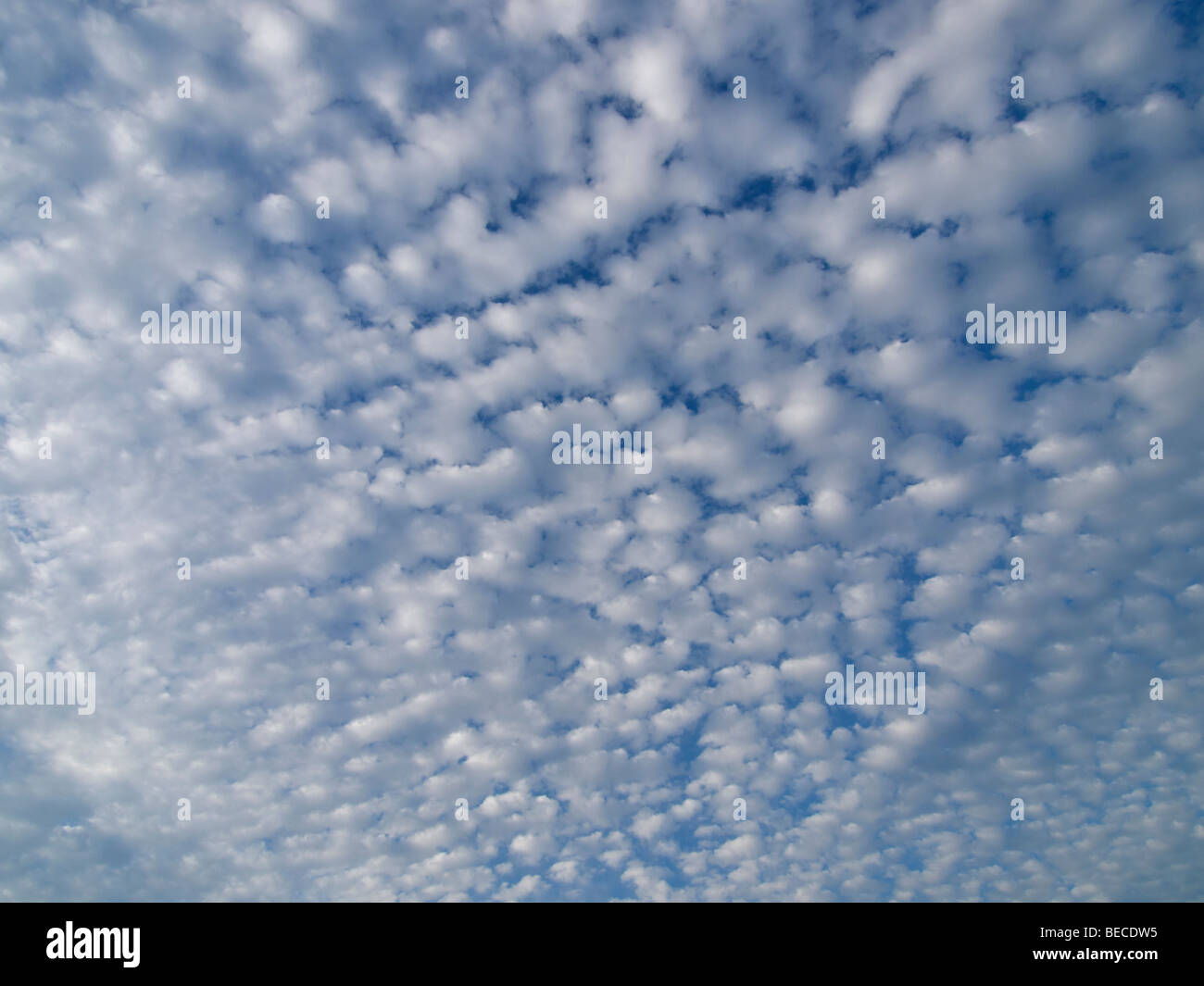 Cumulus Layer High Resolution Stock Photography and Images - Alamy