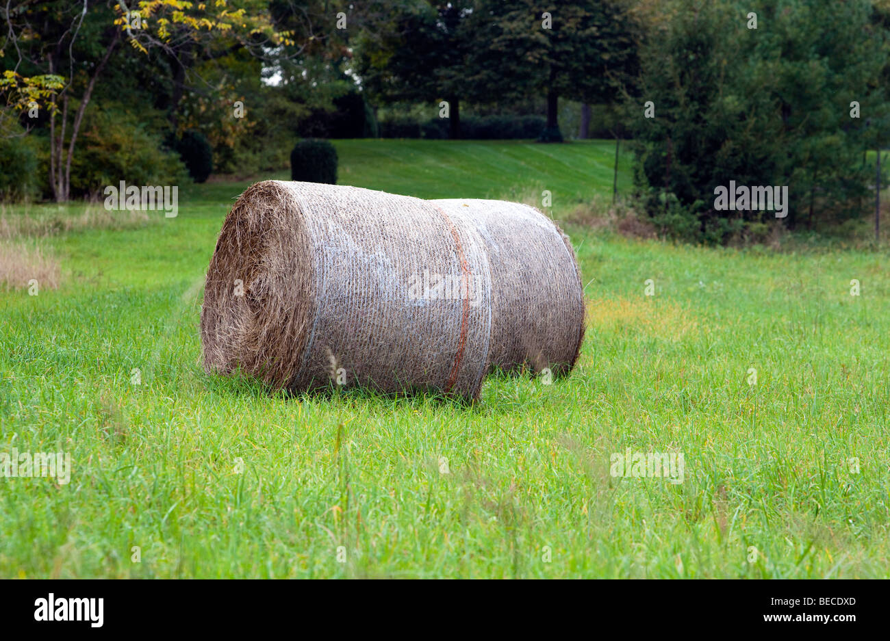 Straw rolls in large meadow hi-res stock photography and images - Alamy